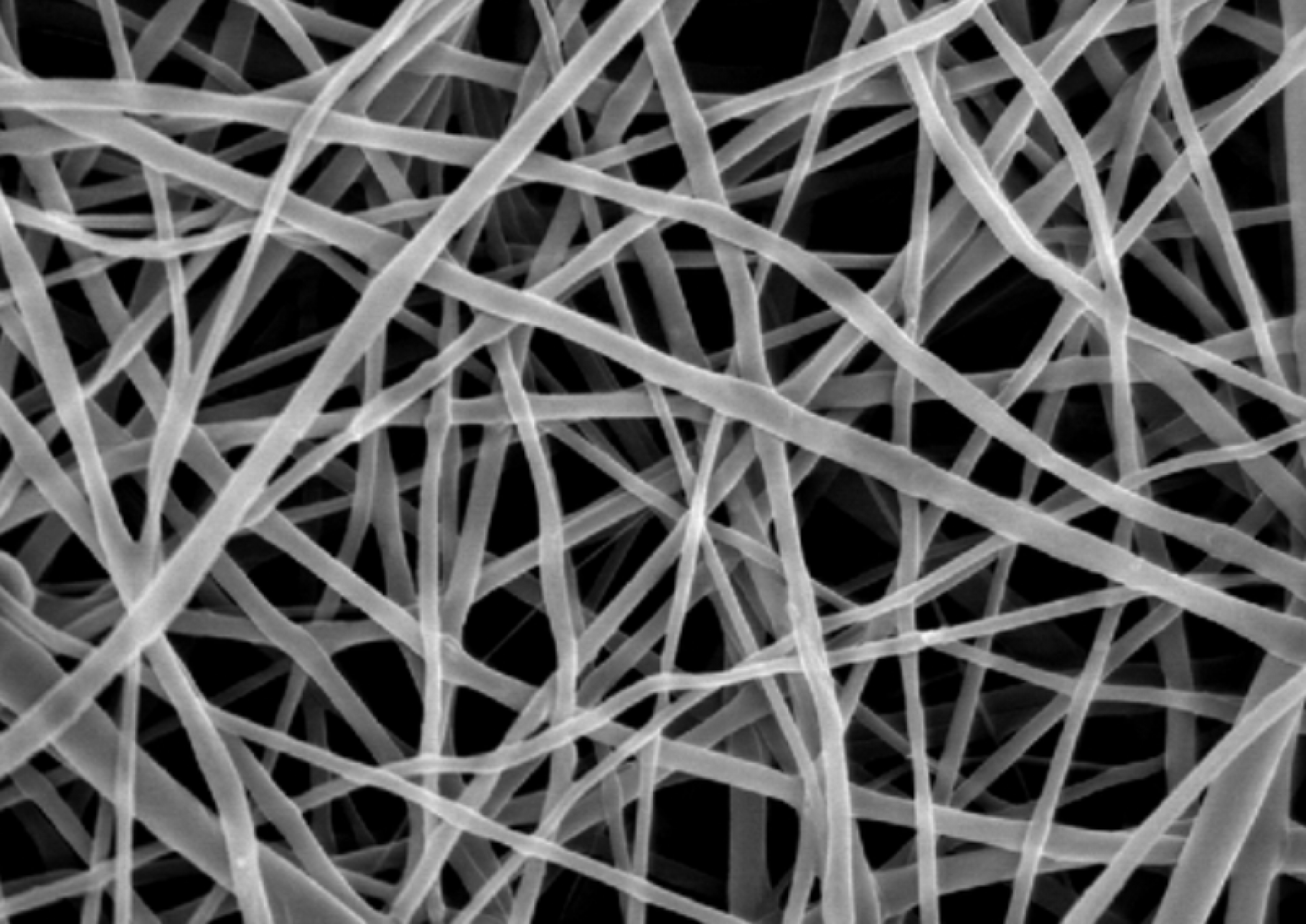 Amira Abdelrasoul- Membrane Science and Nanotechnology